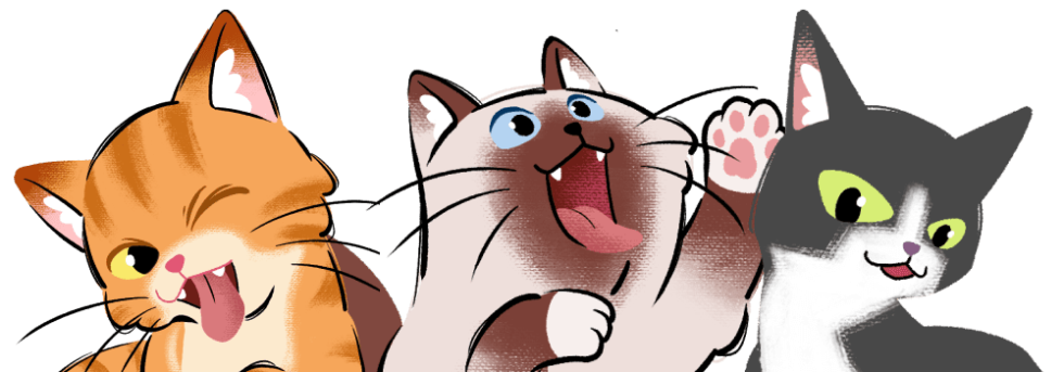 We are Spice Katz | Family Board Game | We create family board games ...